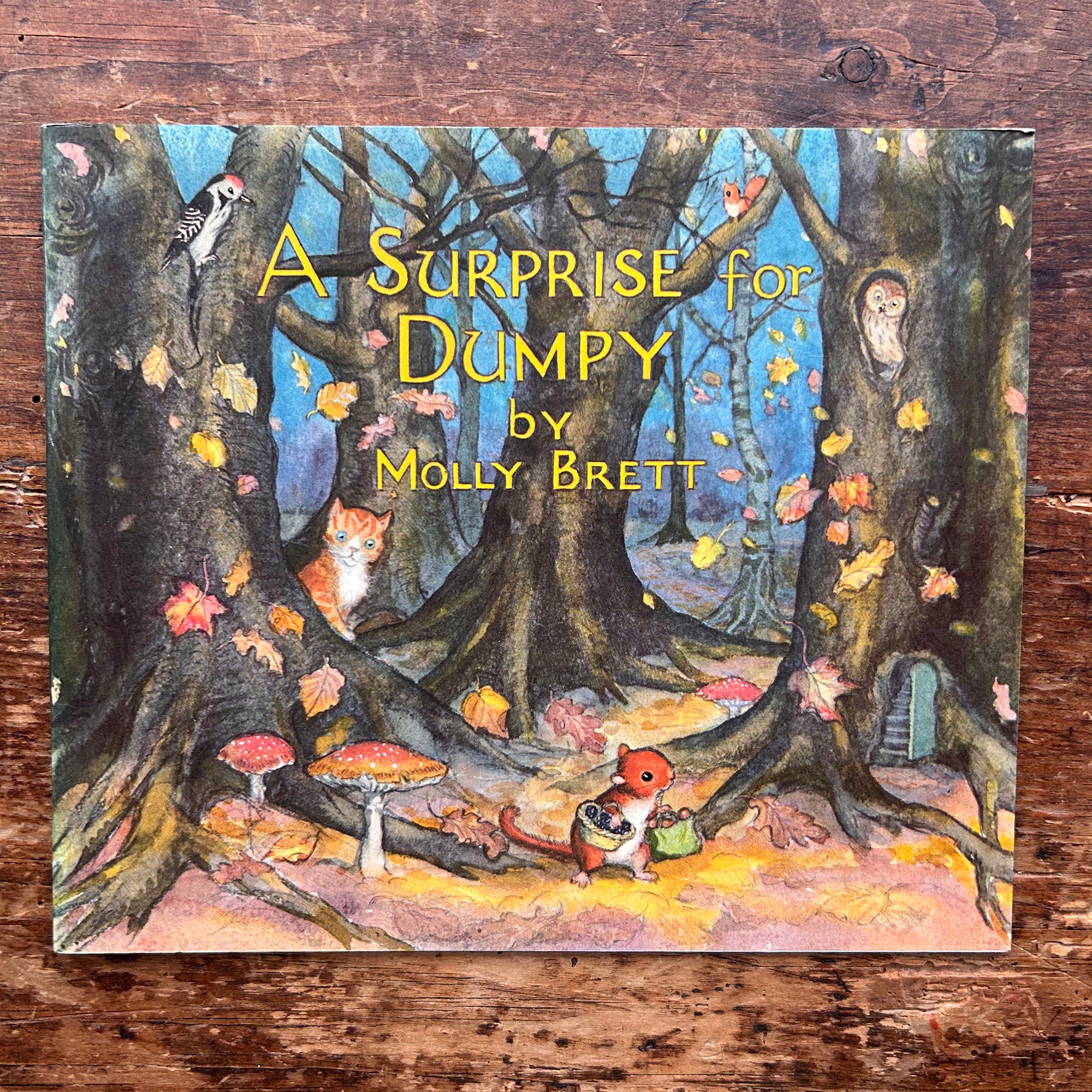 A Surprise for Dumpy - Molly Brett - Vintage 1964 (Preloved) – Book ...
